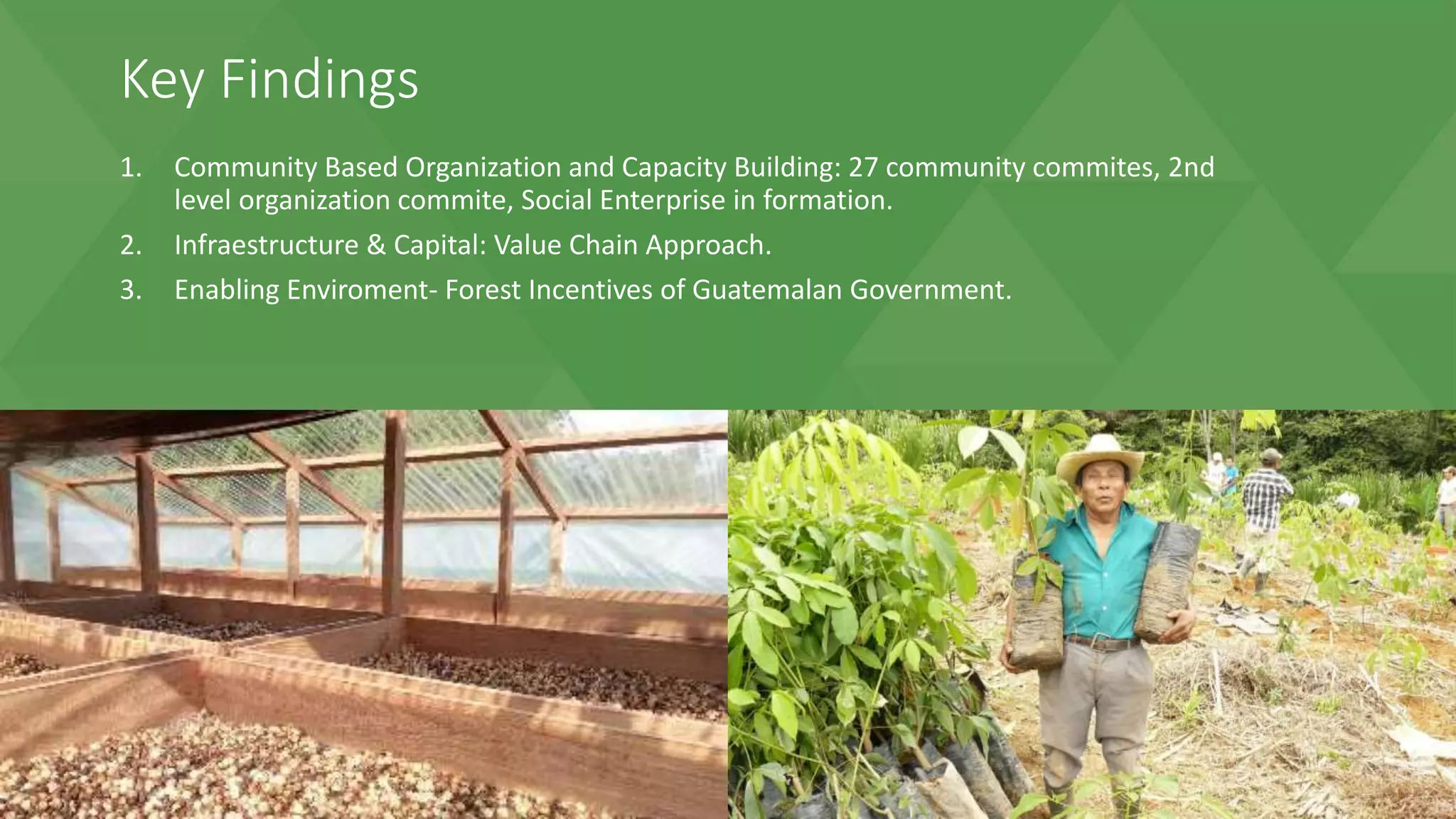 Forest and Landscape Values | PPTX