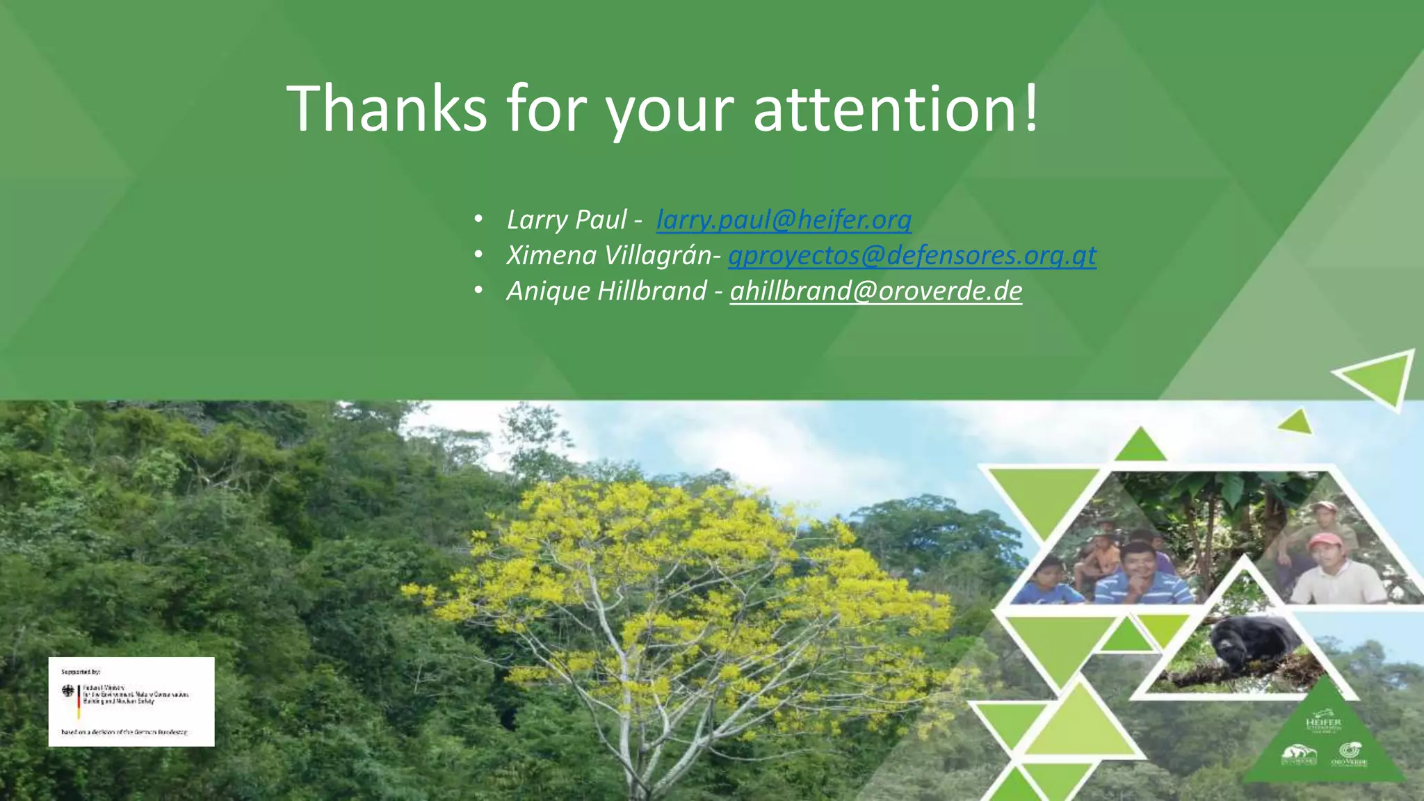 Forest and Landscape Values | PPTX