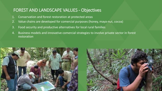Forest and Landscape Values | PPTX