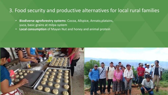 Forest and Landscape Values | PPTX