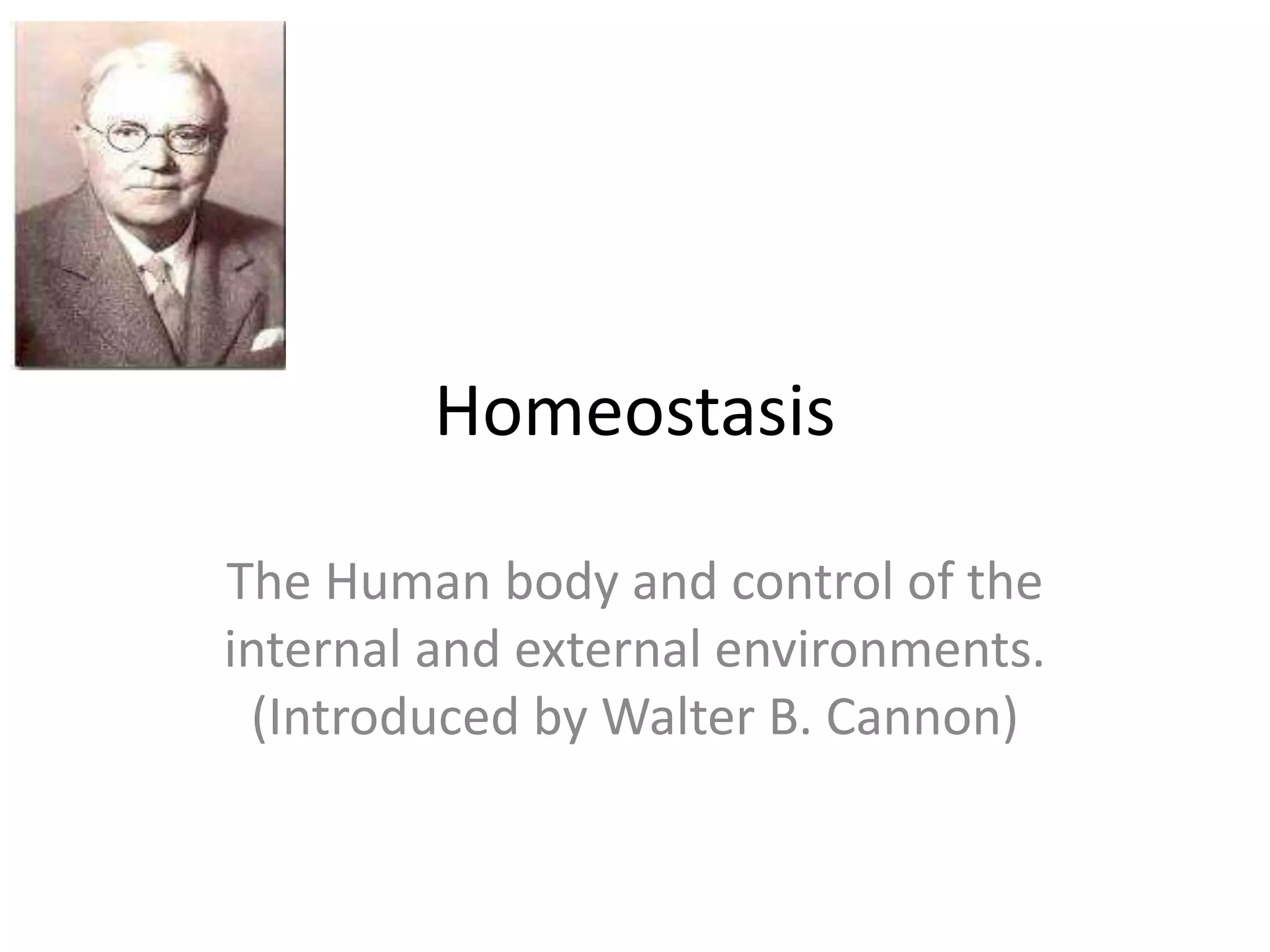 3. homeostasis | PPTX