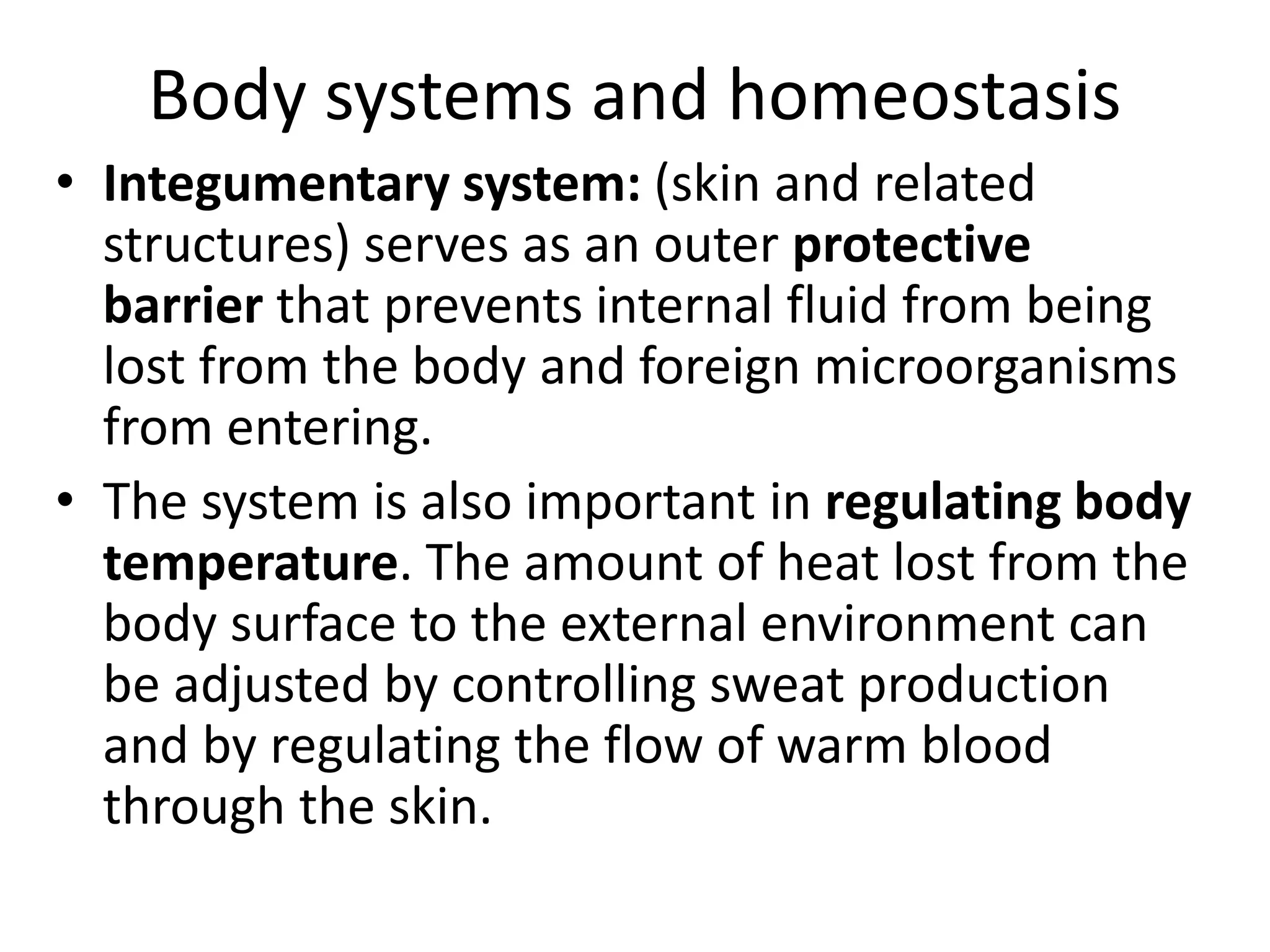 3. homeostasis | PPTX