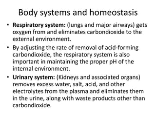 3. homeostasis | PPTX