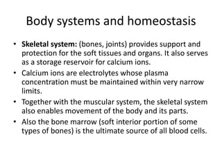 3. homeostasis | PPTX