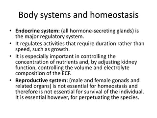 3. homeostasis | PPTX