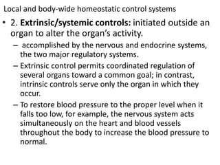 3. homeostasis | PPTX