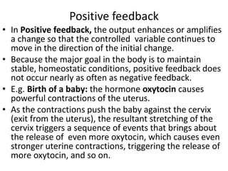 3. homeostasis | PPTX