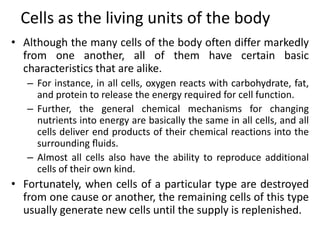 3. homeostasis | PPTX
