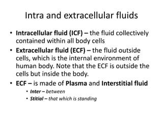 3. homeostasis | PPTX