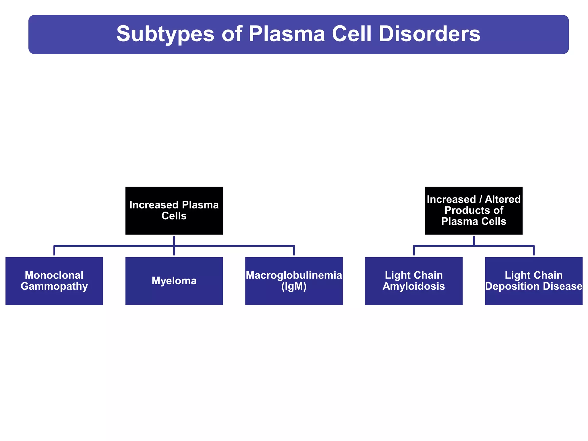 Plasma Cell Disorders | PPTX