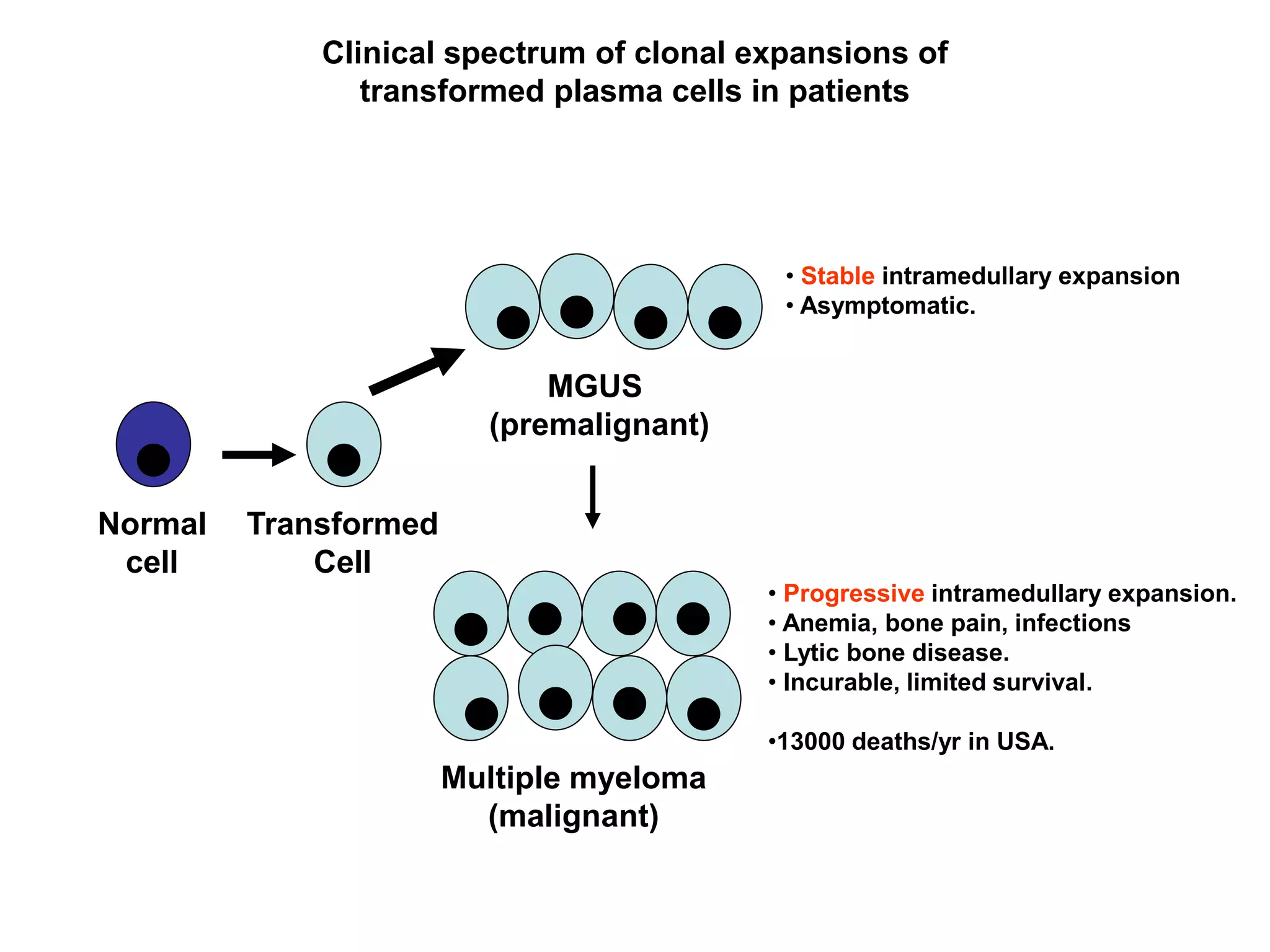 Plasma Cell Disorders | PPTX