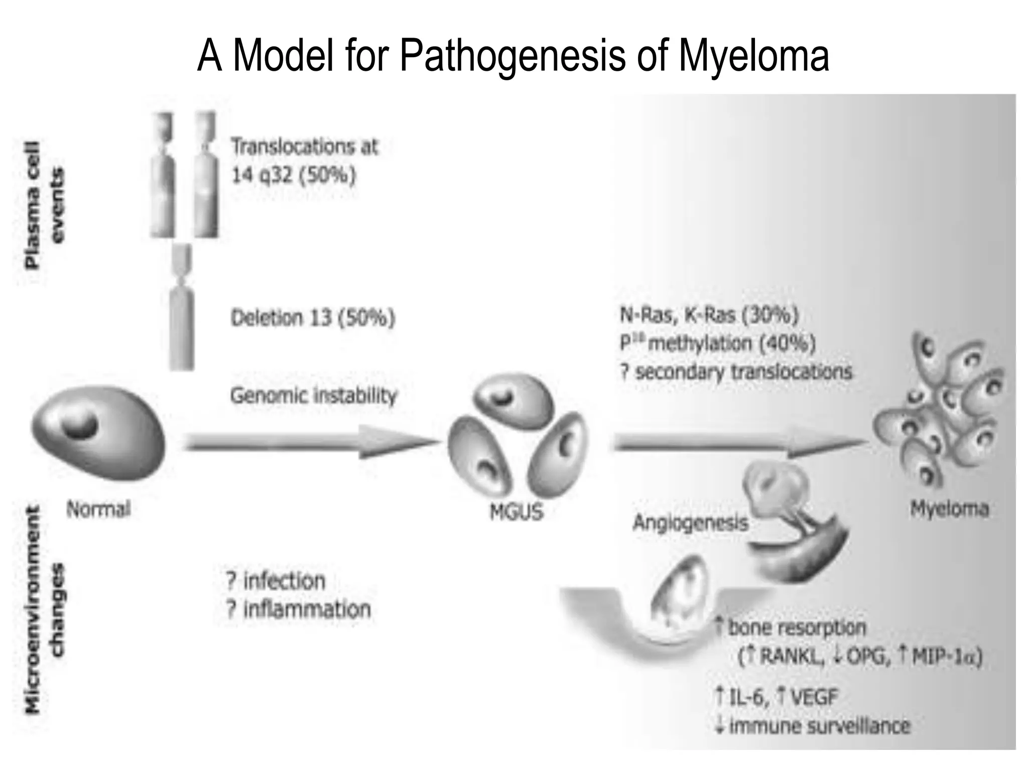 Plasma Cell Disorders | PPTX