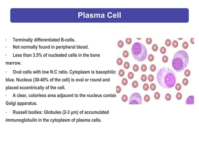 Plasma Cell Disorders | PPTX