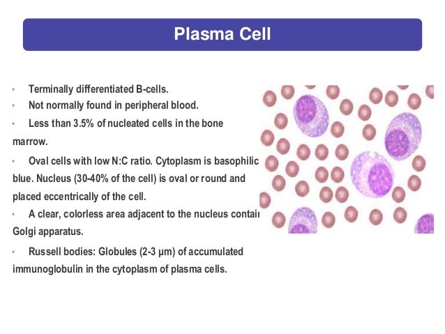 Plasma Cell Disorders