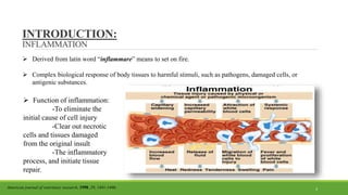 Synthetic Approaches Of Carprofen: The Multitarget Inhibitor As An Anti ...