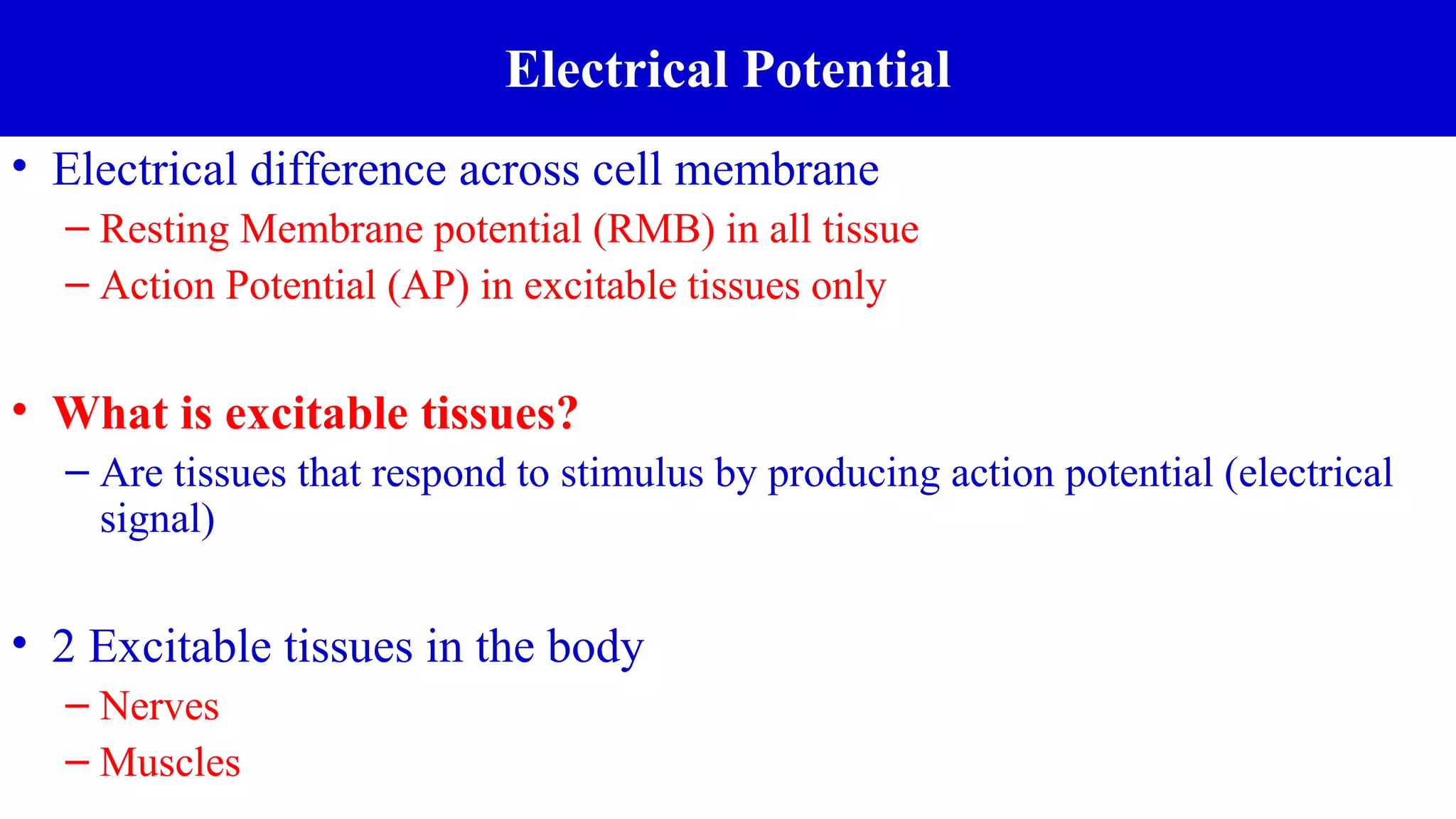 3.electrical activity of the heart | PPT