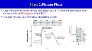 3.electrical activity of the heart | PPT | Free Download