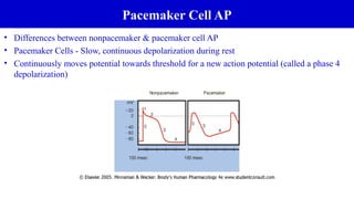 3.electrical activity of the heart | PPT | Free Download