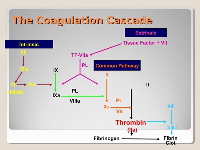 Immune system and inflamatory response to cpb(1) | PPT | Blood ...