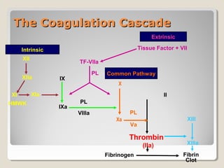 Immune system and inflamatory response to cpb(1) | PPT