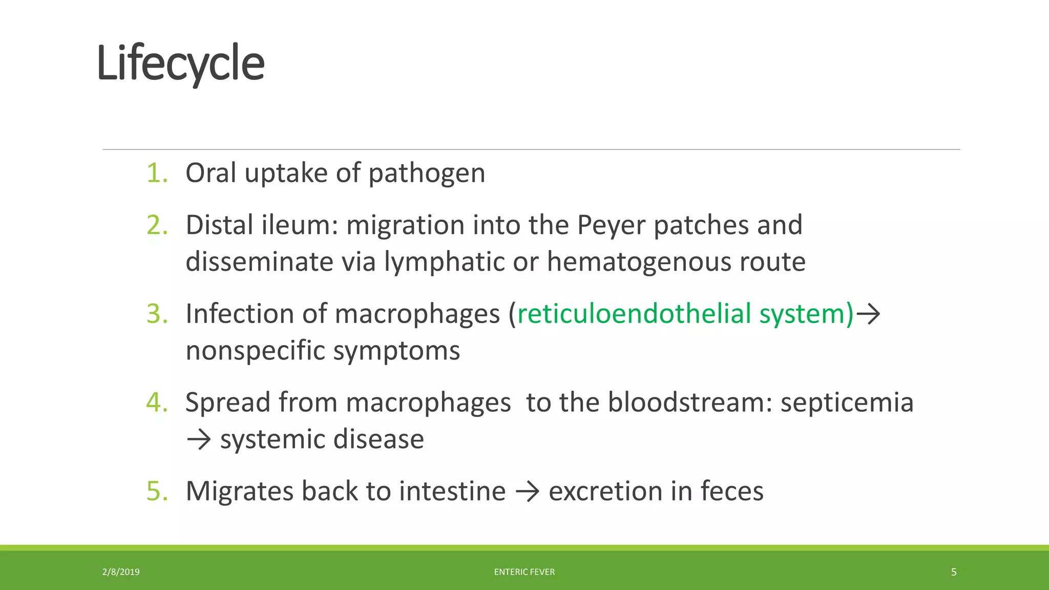 enteric fever | PPTX