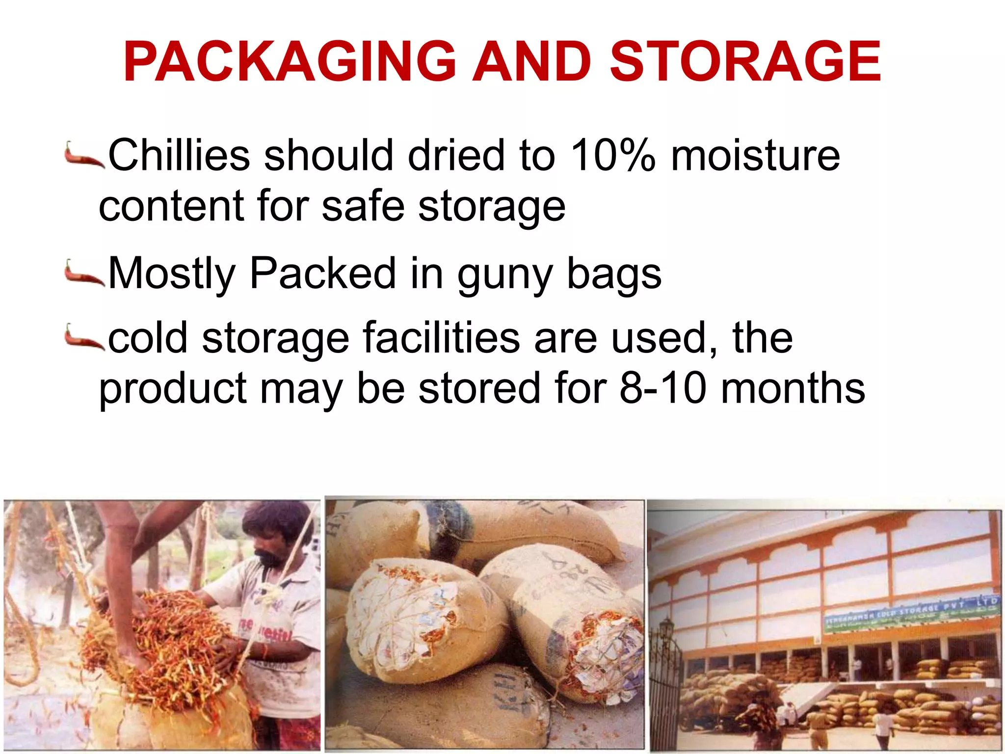 Chilli Processing | PPTX