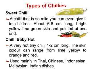 Chilli Processing | PPTX