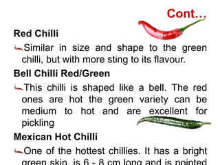Chilli Processing | PPTX