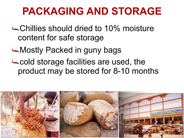 Chilli Processing | PPTX | Nutrition | Healthy Living