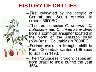 Chilli Processing | PPTX