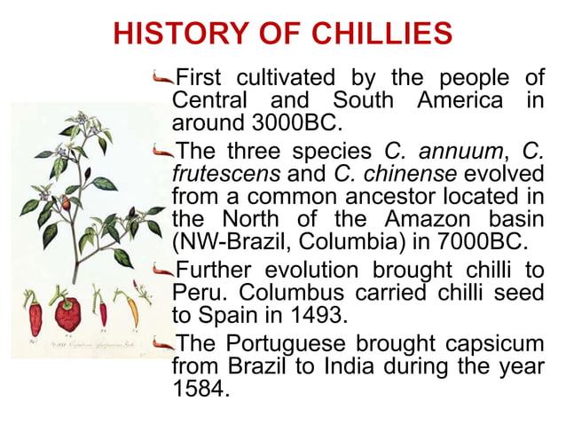 Chilli Processing | PPTX | Nutrition | Healthy Living