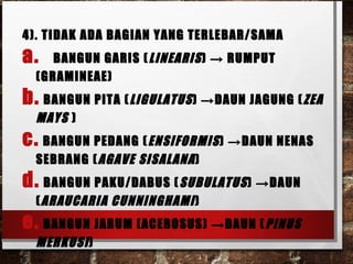 morfologi daun,batang,akar | PPT