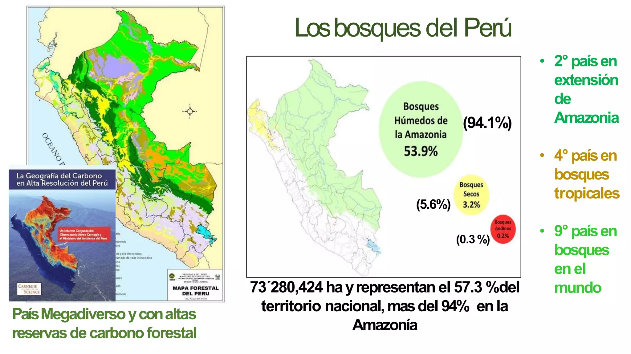 3.3 geog sector primario extractivo tala convertido | PPTX | South ...