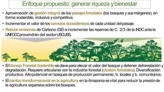 3.3 geog sector primario extractivo tala convertido | PPTX