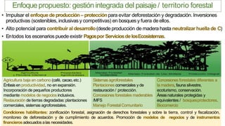 3.3 geog sector primario extractivo tala convertido | PPTX