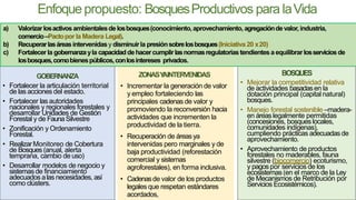 3.3 geog sector primario extractivo tala convertido | PPTX