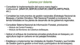 3.3 geog sector primario extractivo tala convertido | PPTX