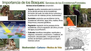 3.3 geog sector primario extractivo tala convertido | PPTX