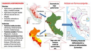 3.3 geog sector primario extractivo tala convertido | PPTX