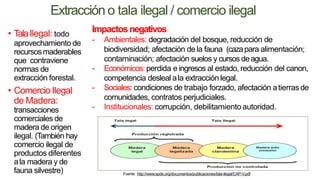 3.3 geog sector primario extractivo tala convertido | PPTX