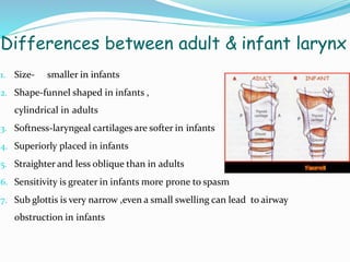larynx | PPTX