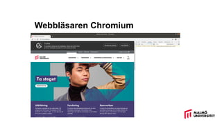 Introduktion till JS | PDF