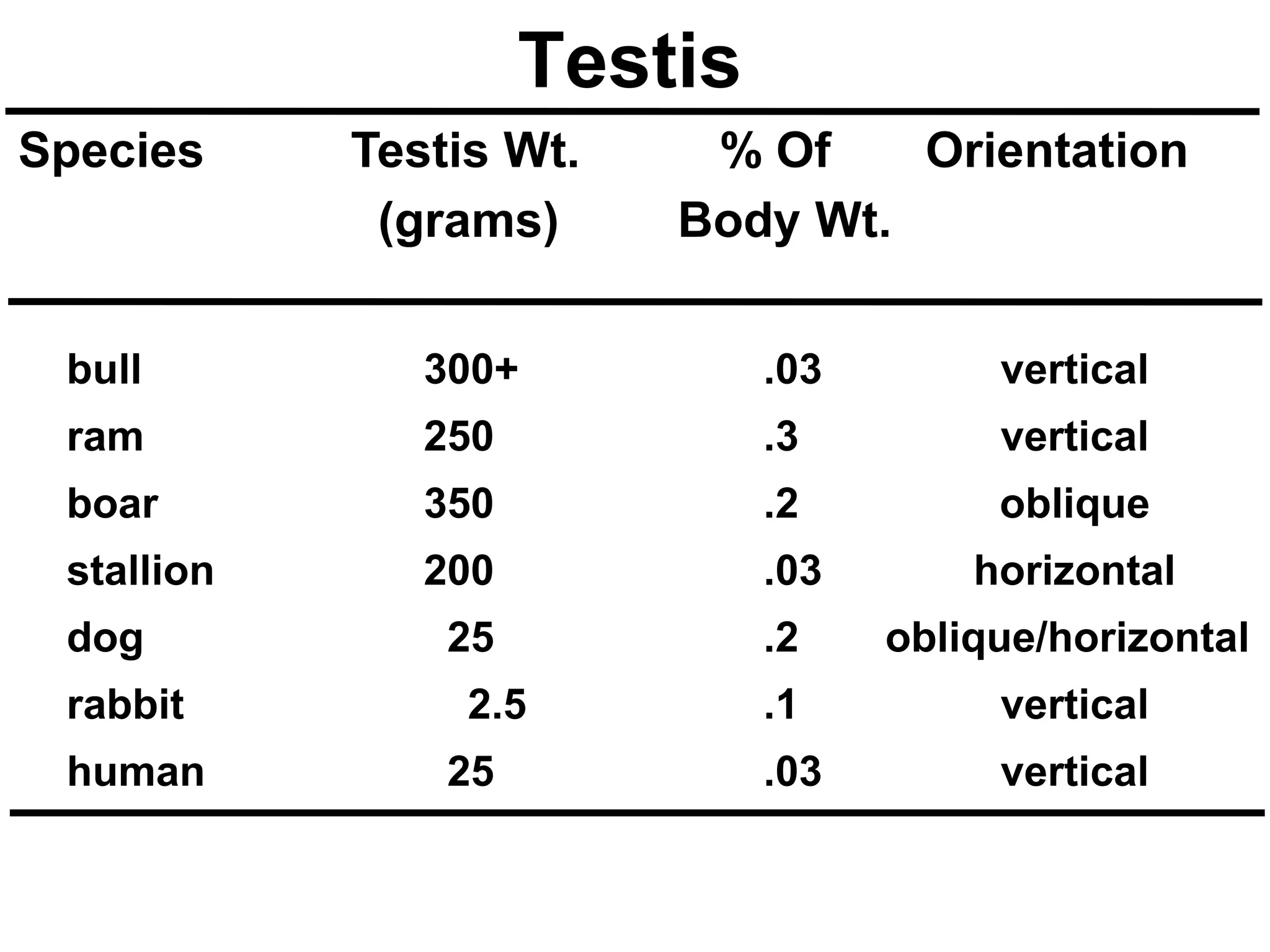 Comparative Anatomy of Male Reproductive System | PPTX