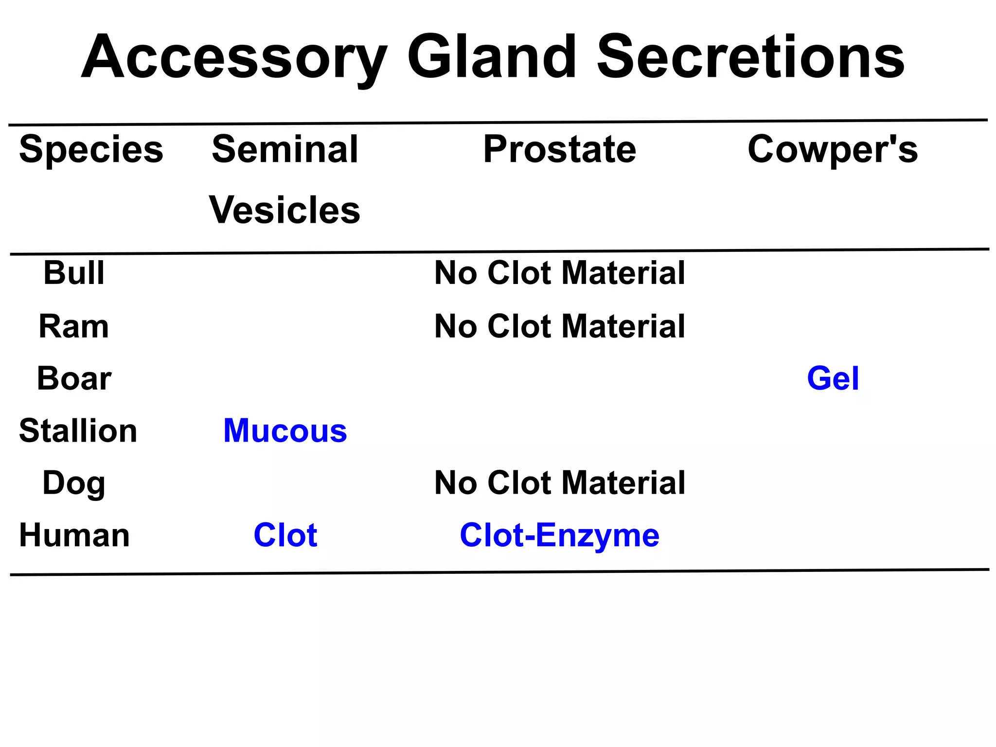 Comparative Anatomy of Male Reproductive System | PPTX