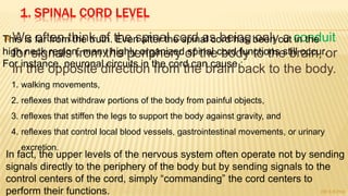 3. lecture 3. major levels of the cns | PPT