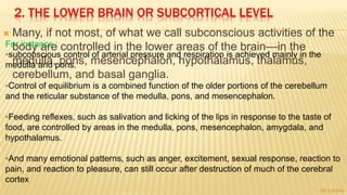 3. lecture 3. major levels of the cns | PPTX
