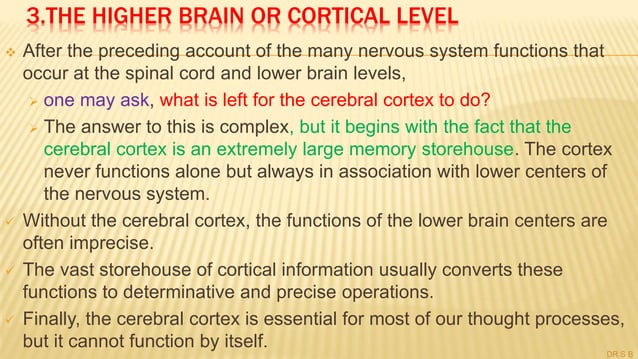 3. lecture 3. major levels of the cns | PPT