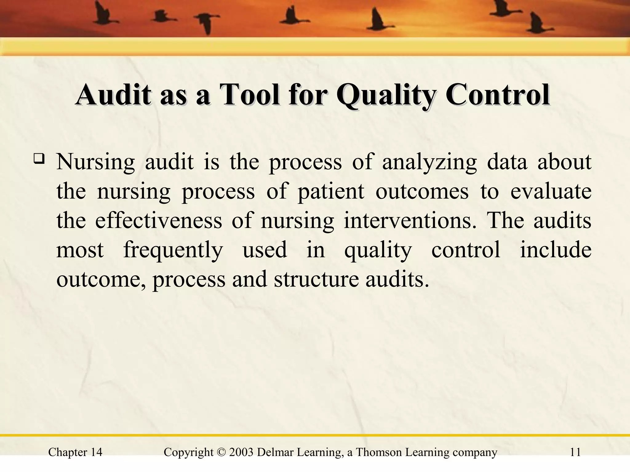 3. nursing audit | PPT