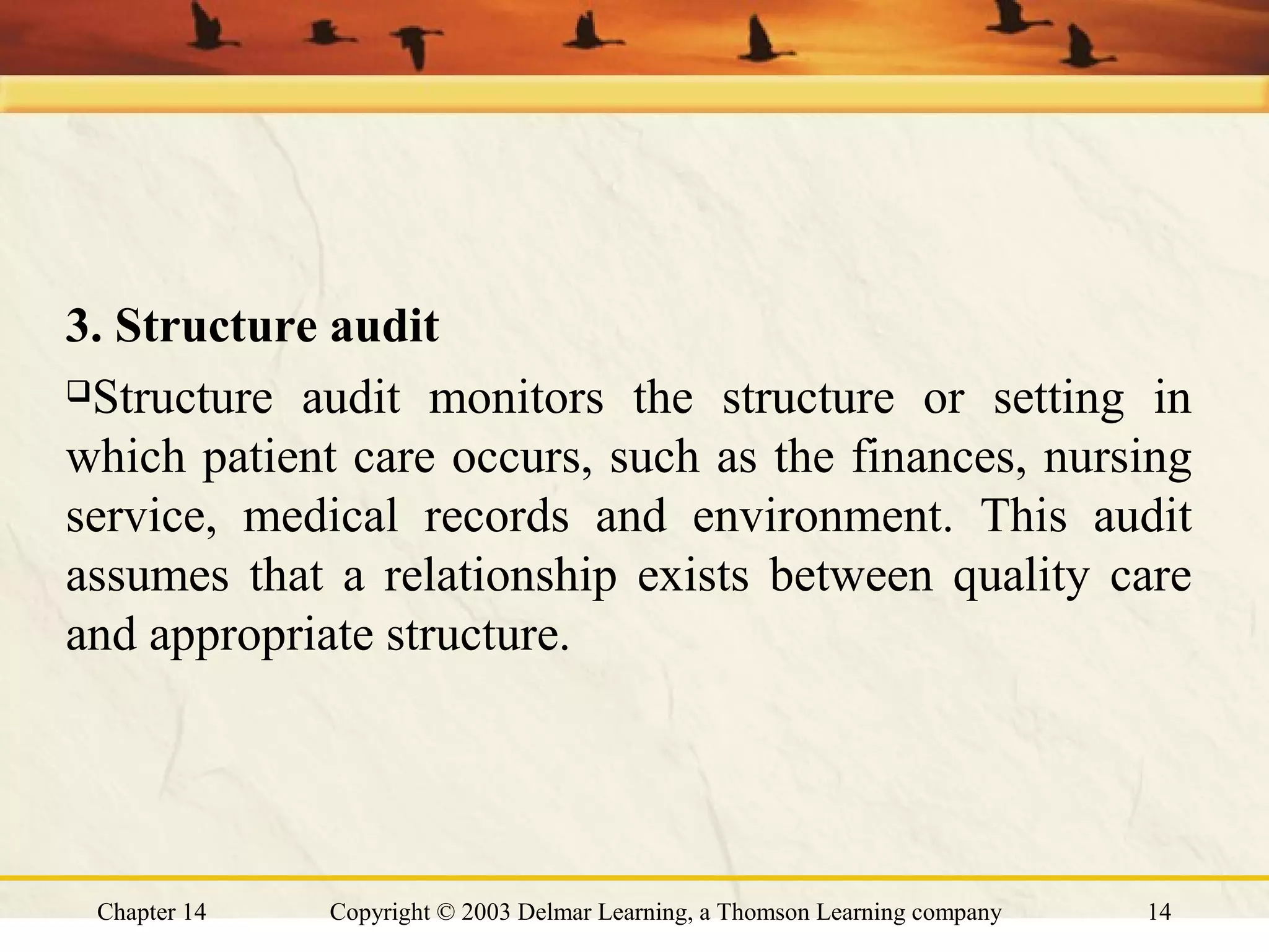 3. nursing audit | PPT