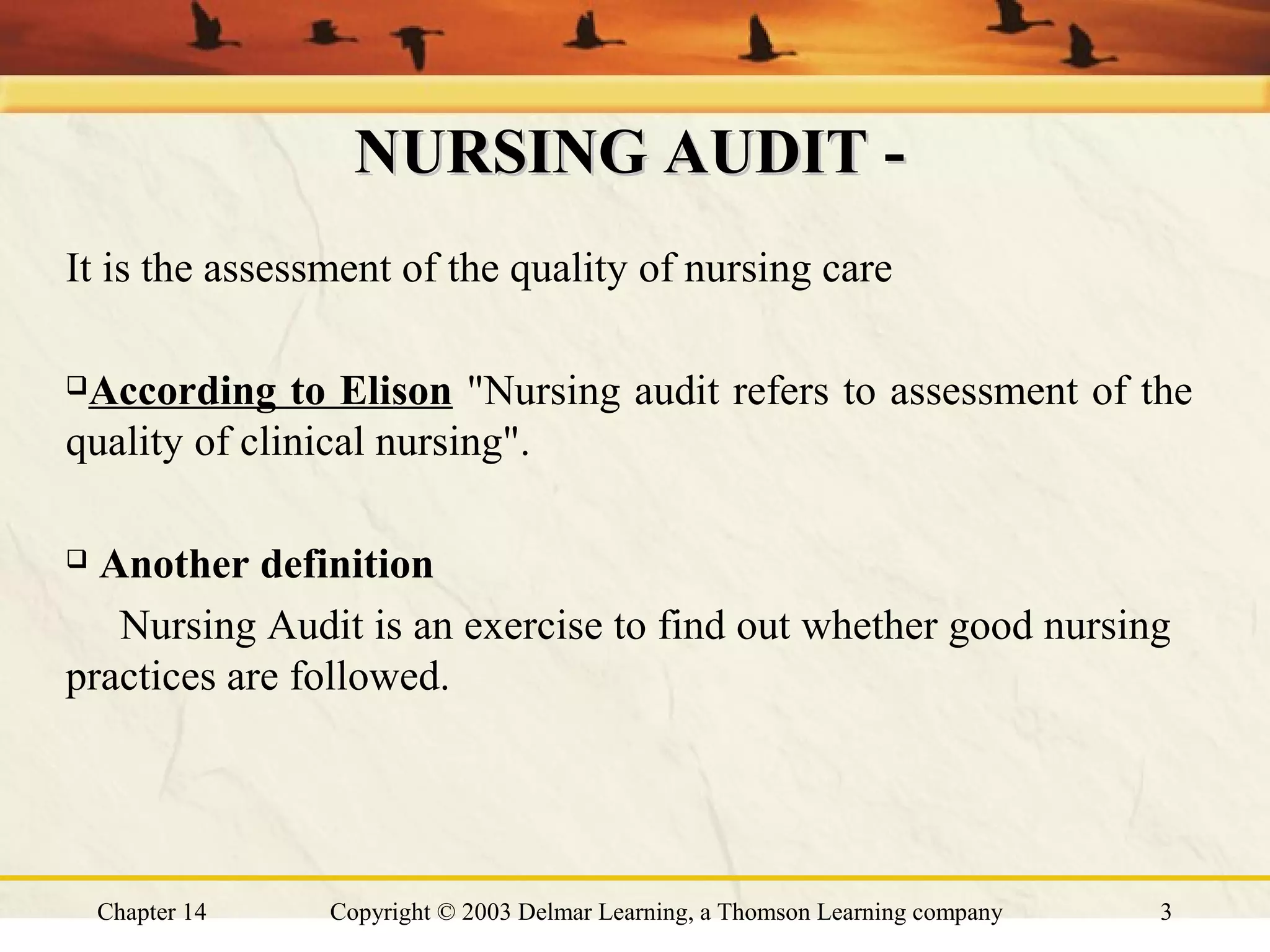 3. nursing audit | PPT